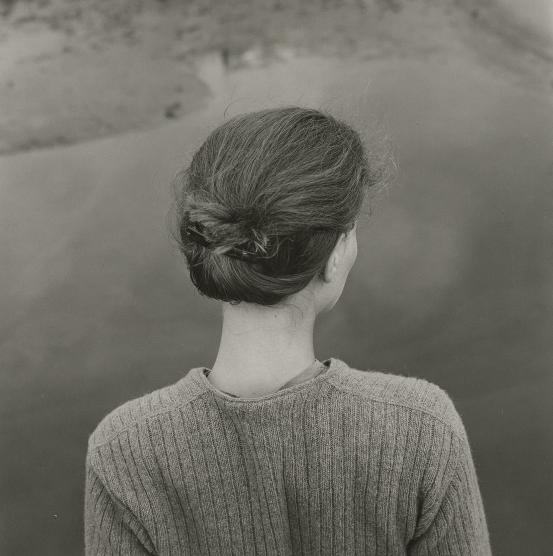 Emmet Gowin | Pace Gallery