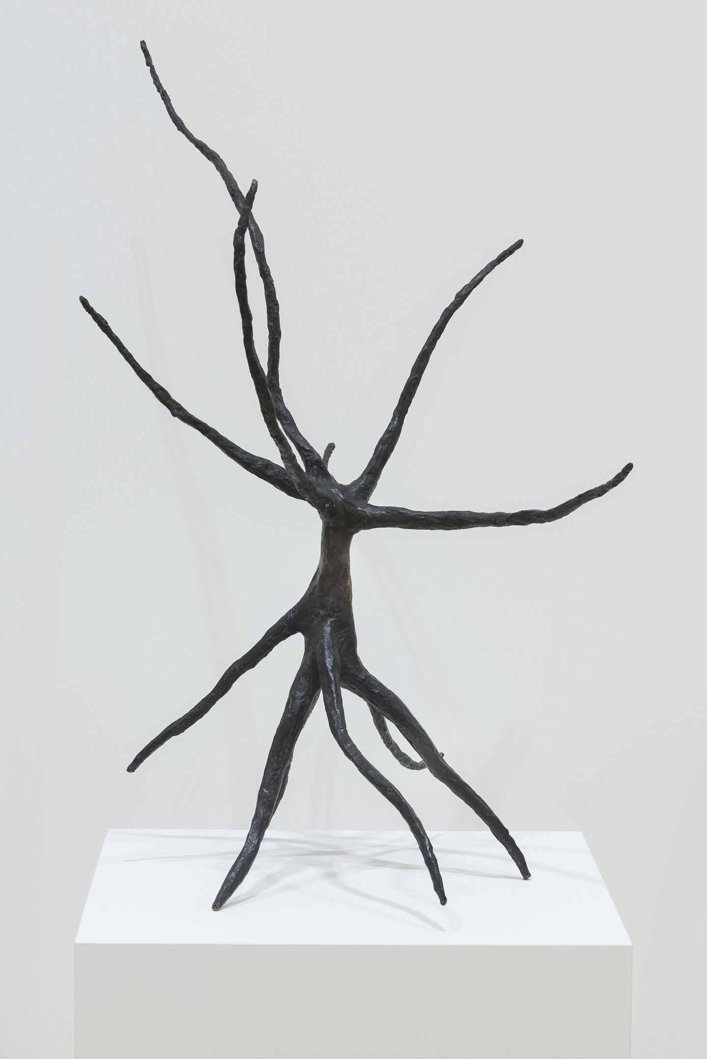 Alexander Calder | Pace Gallery