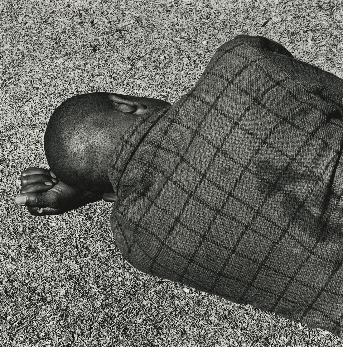 David Goldblatt | Pace Gallery