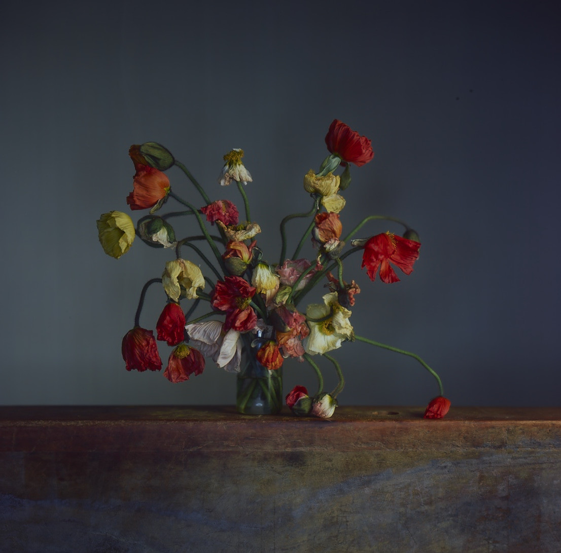 Richard Learoyd | Pace Gallery