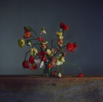 Richard Learoyd | Pace Gallery