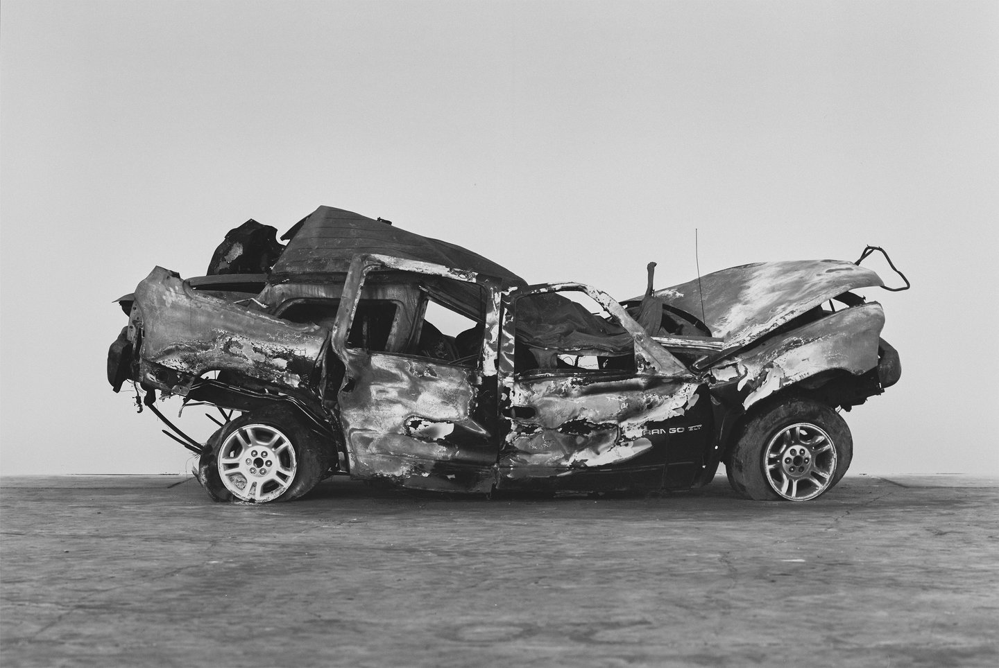 Richard Learoyd | Pace Gallery