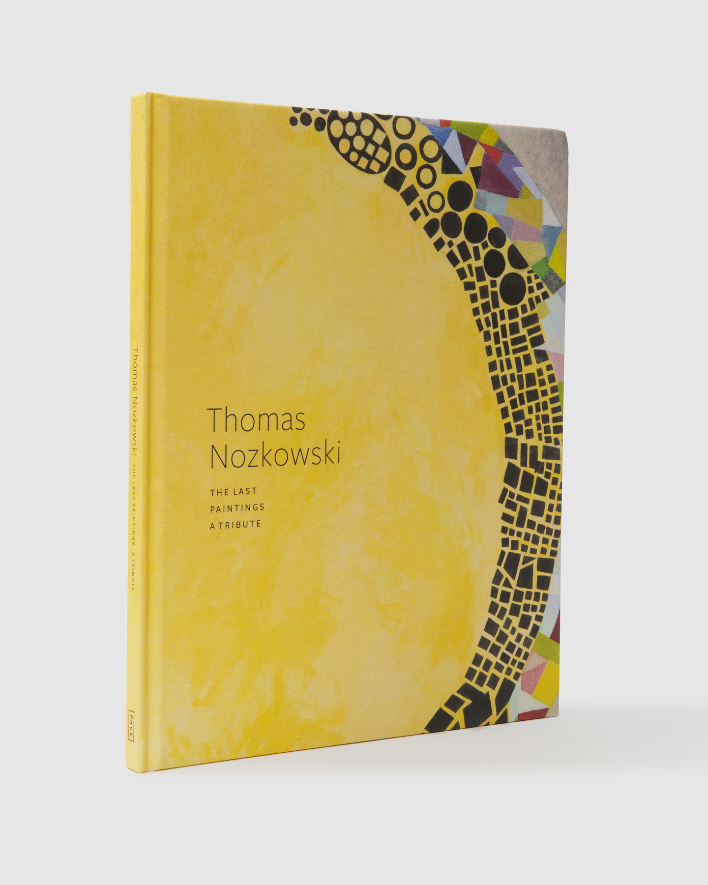 Pace Publishing | Thomas Nozkowski: The Last Paintings | Pace Gallery