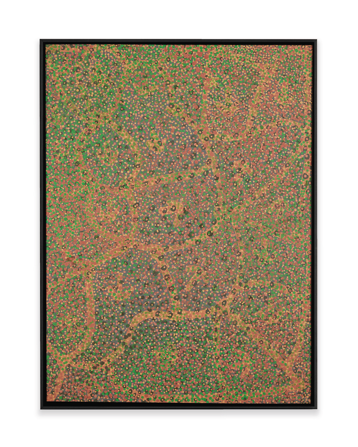 Emily Kam Kngwarray | Pace Gallery