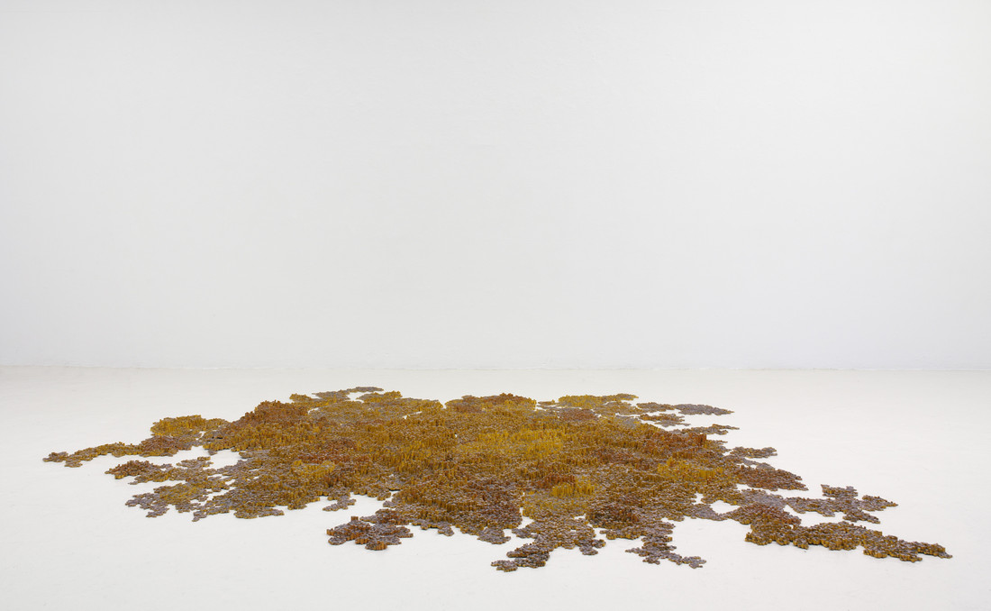 Tara Donovan | Pace Gallery