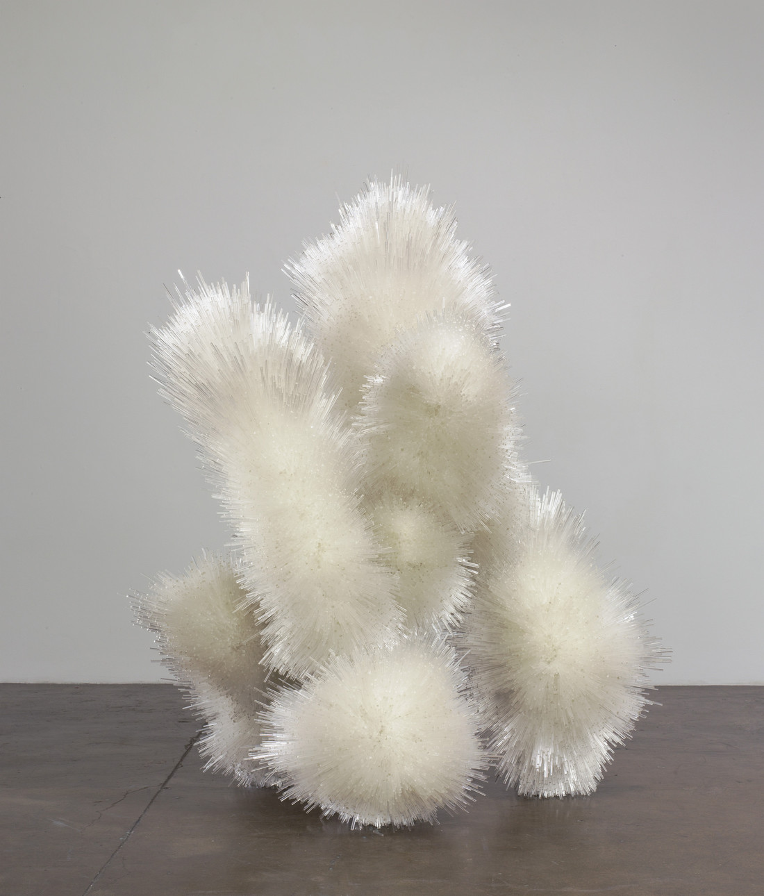 Tara Donovan | Pace Gallery