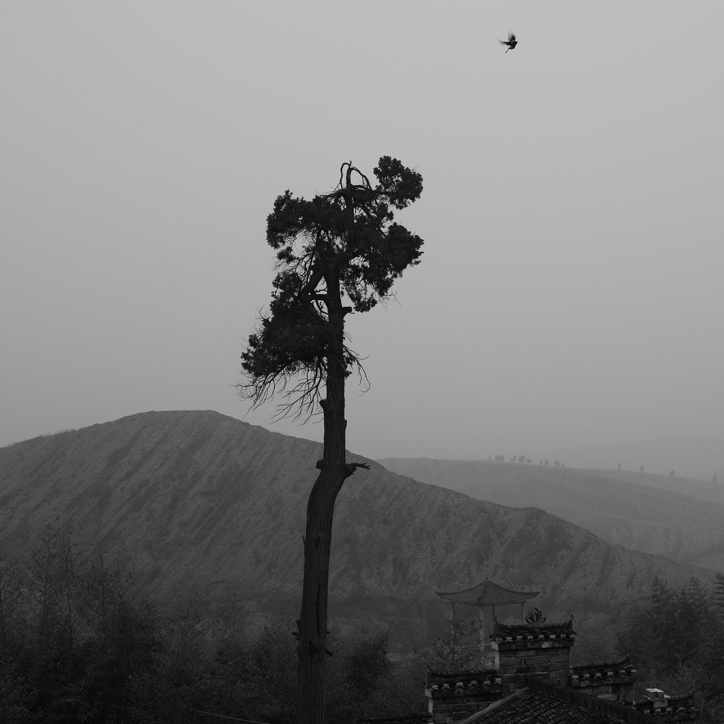 Hai Bo | Pace Gallery