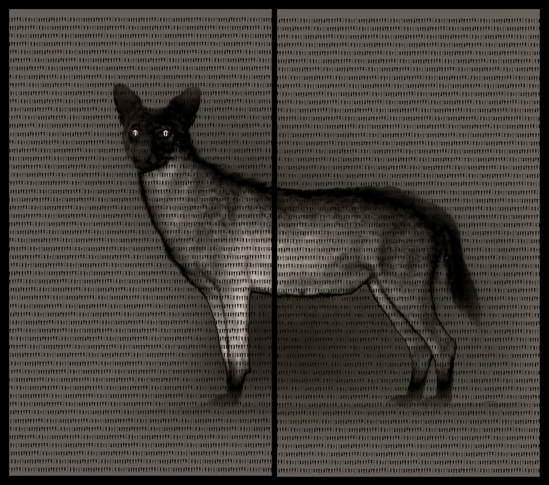 Michal Rovner | Pace Gallery