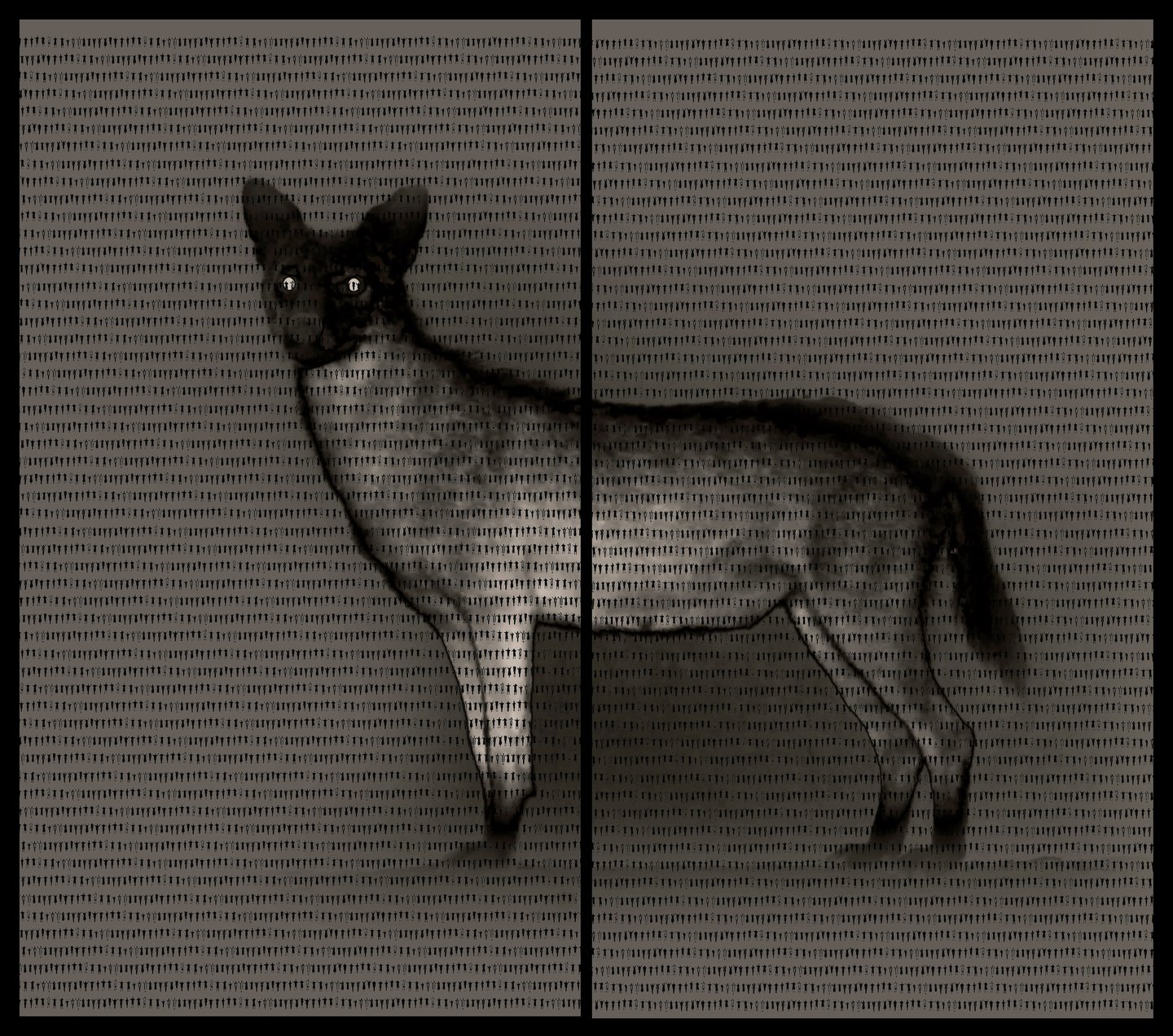 Michal Rovner | Pace Gallery