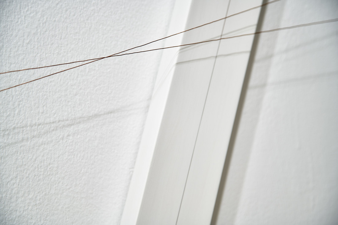 Prabhavathi Meppayil Participates in Dhaka Art Summit | Pace Gallery