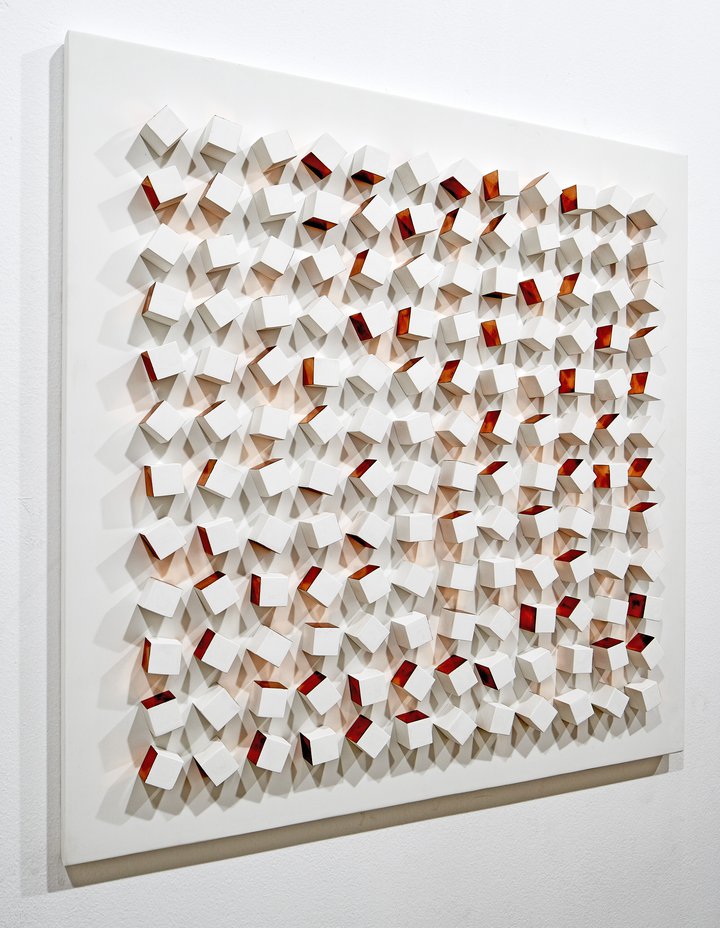 Prabhavathi Meppayil Participates in Dhaka Art Summit | Pace Gallery