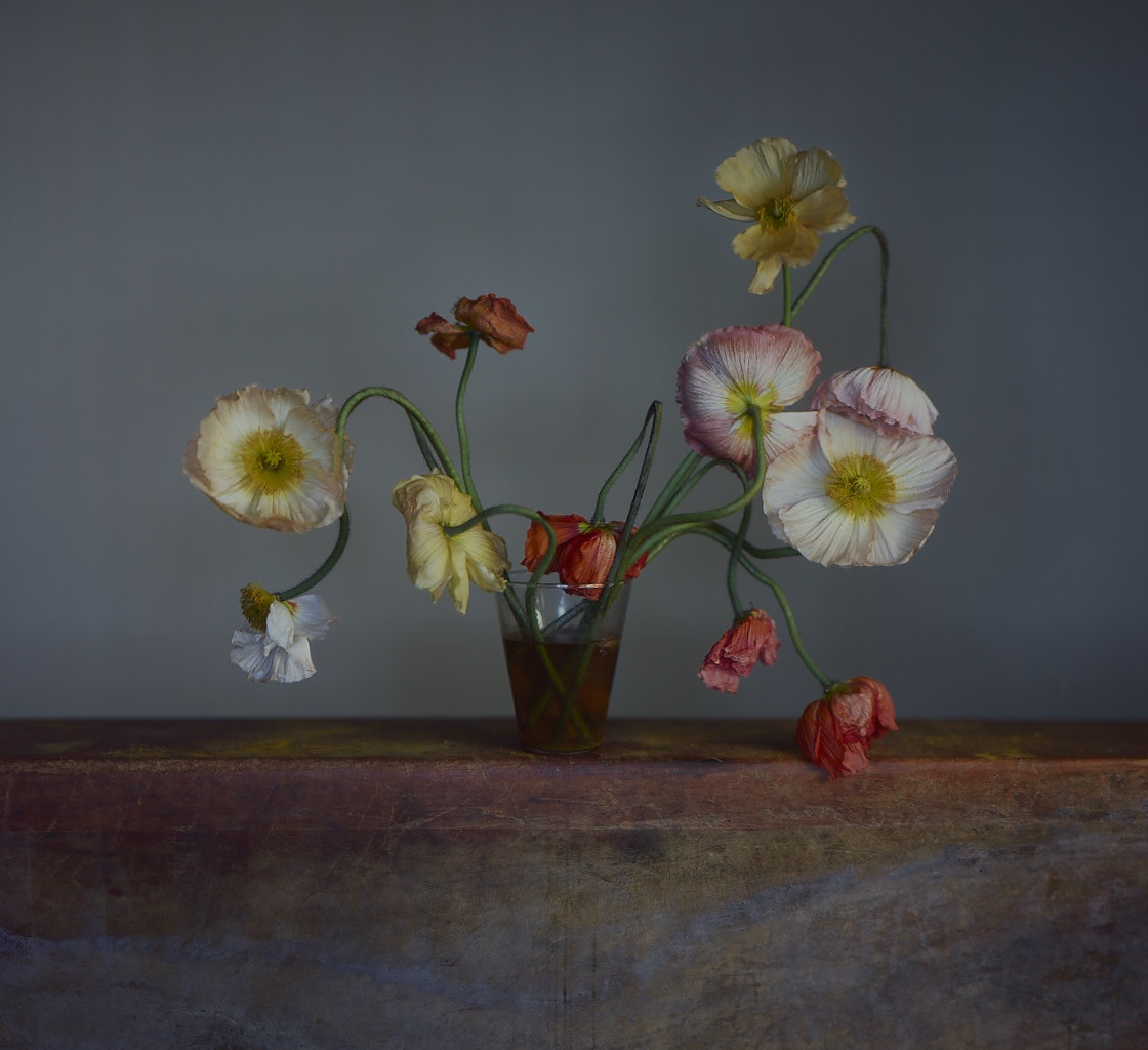 Photography in Focus: Richard Learoyd | Pace Gallery