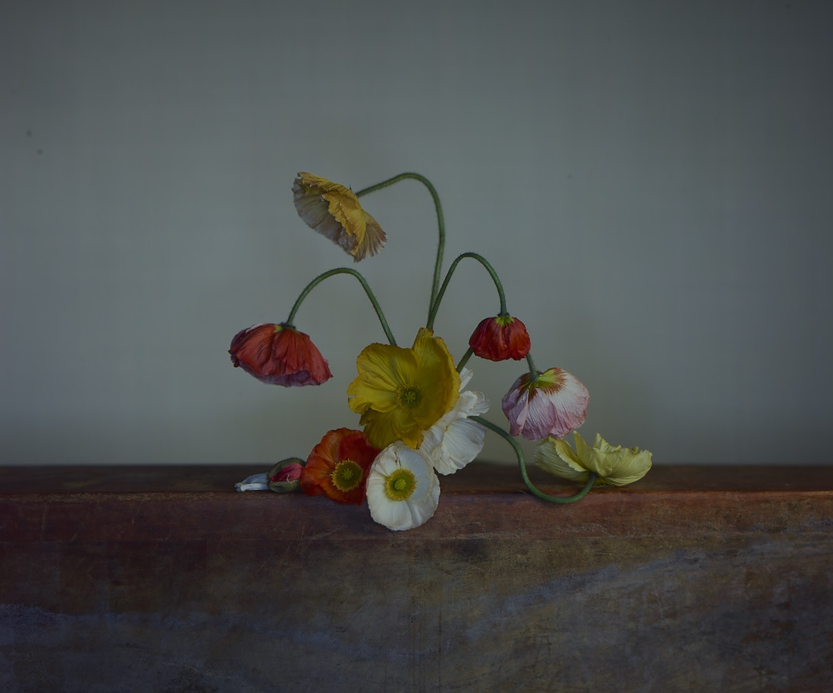 Photography in Focus: Richard Learoyd | Pace Gallery