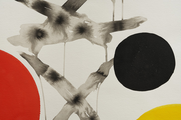 Calder, Callahan, and the Intensified Image | Pace Gallery
