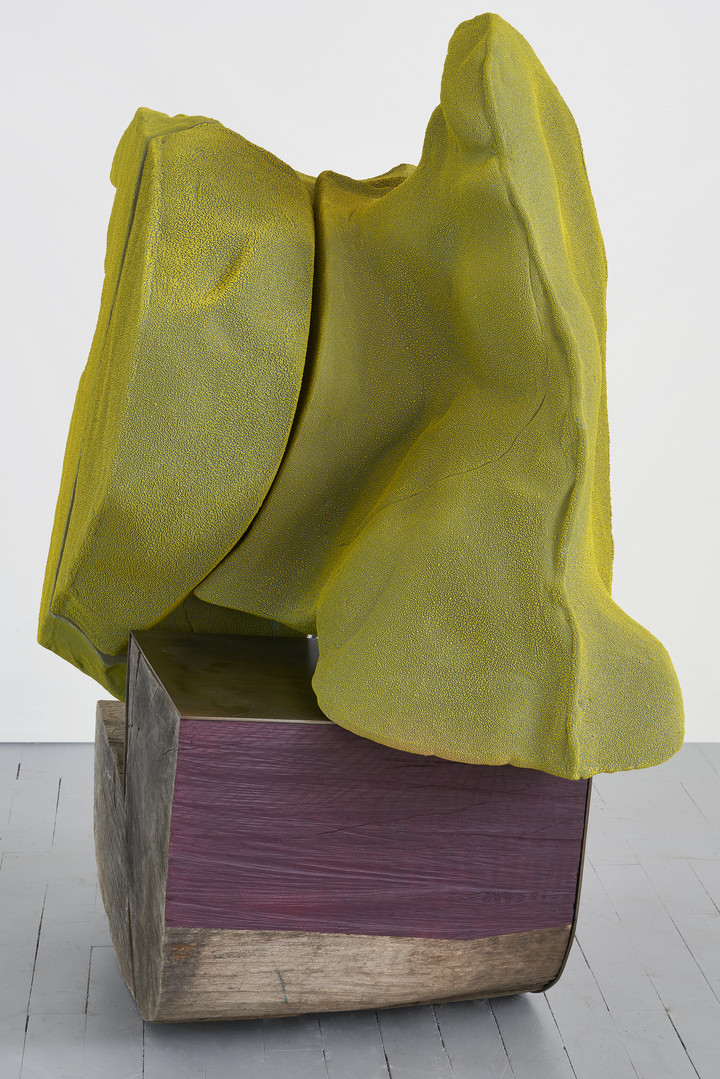 Arlene Shechet | Pace Gallery