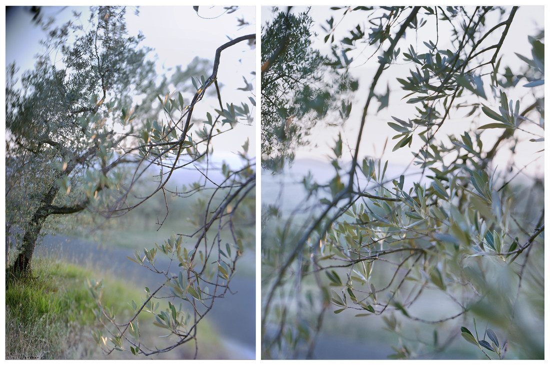 JoAnn Verburg: For Now | Pace Gallery