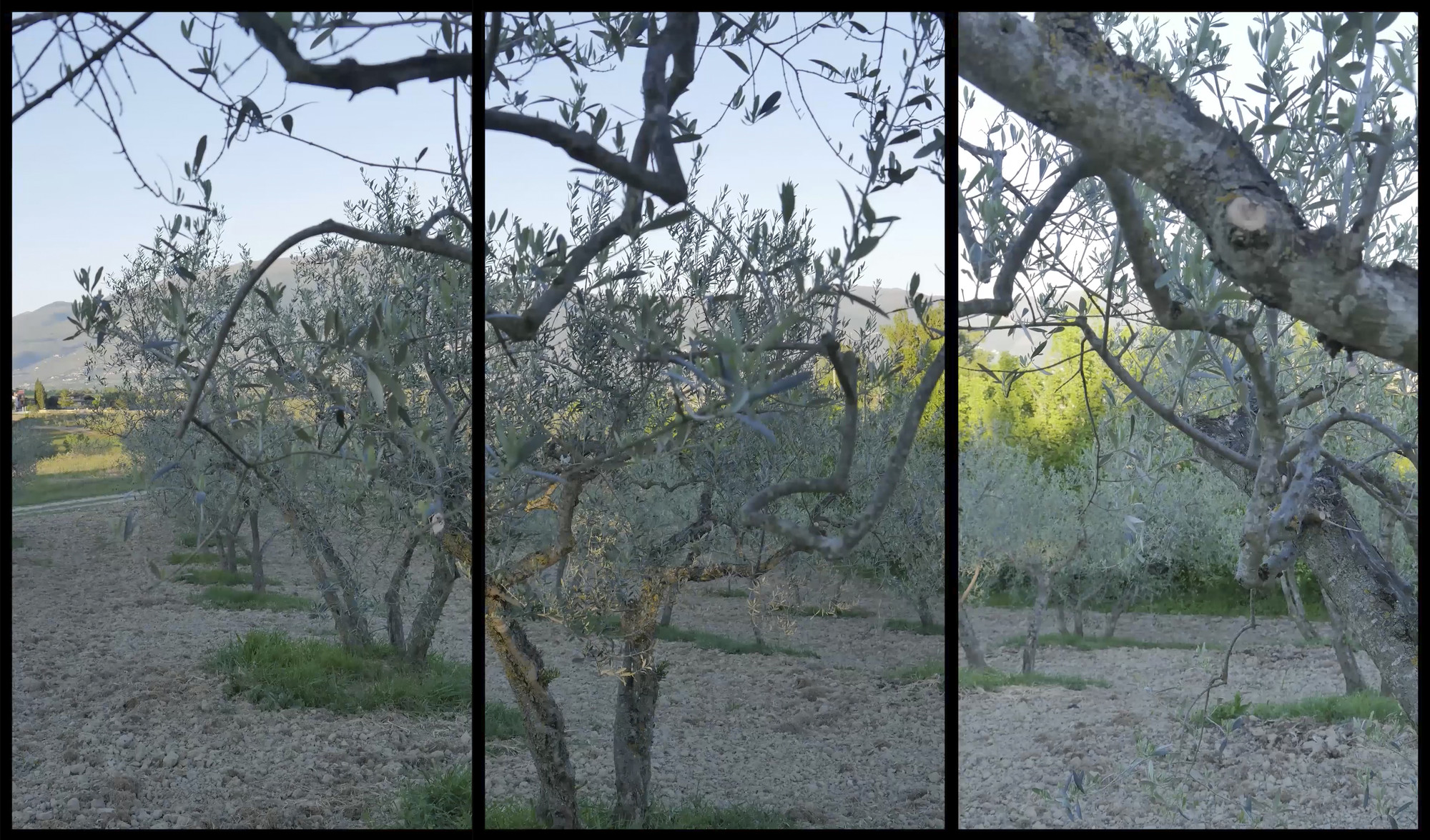 JoAnn Verburg: For Now | Pace Gallery