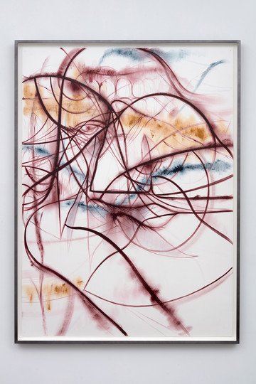 Nigel Cooke: In Focus | Pace Gallery