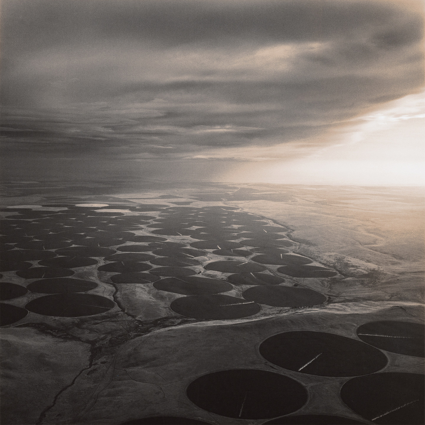 Emmet Gowin: The One Hundred Circle Farm | Pace Gallery