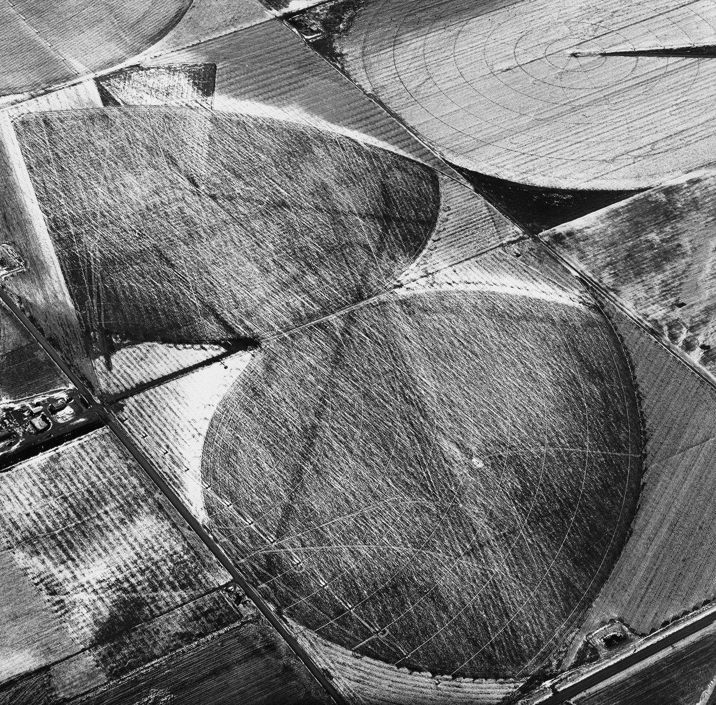 Emmet Gowin: The One Hundred Circle Farm | Pace Gallery