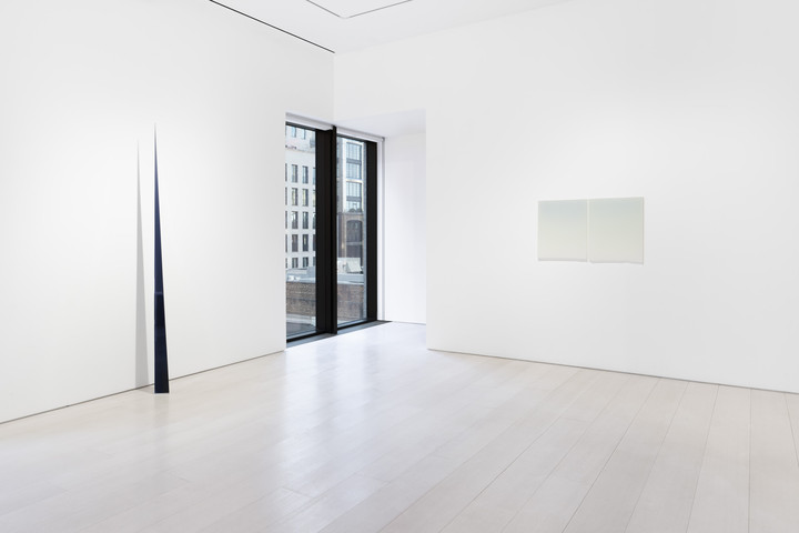 Peter Alexander | Pace Gallery