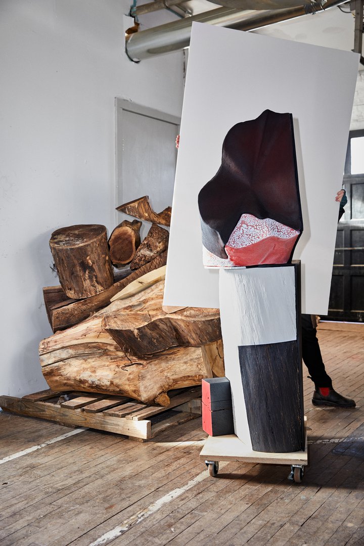 Arlene Shechet | Pace Gallery