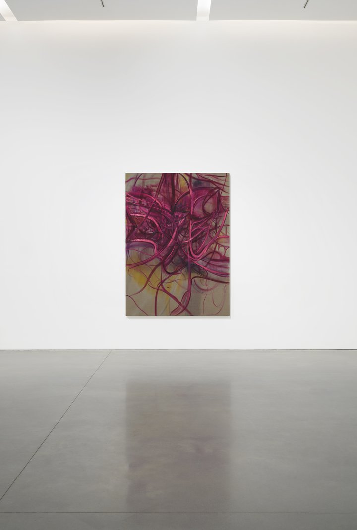 Nigel Cooke | Pace Gallery