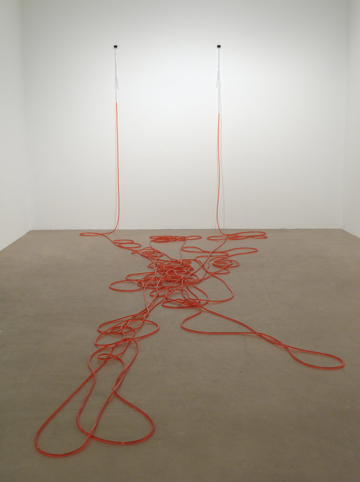 Tony Feher | Pace Gallery