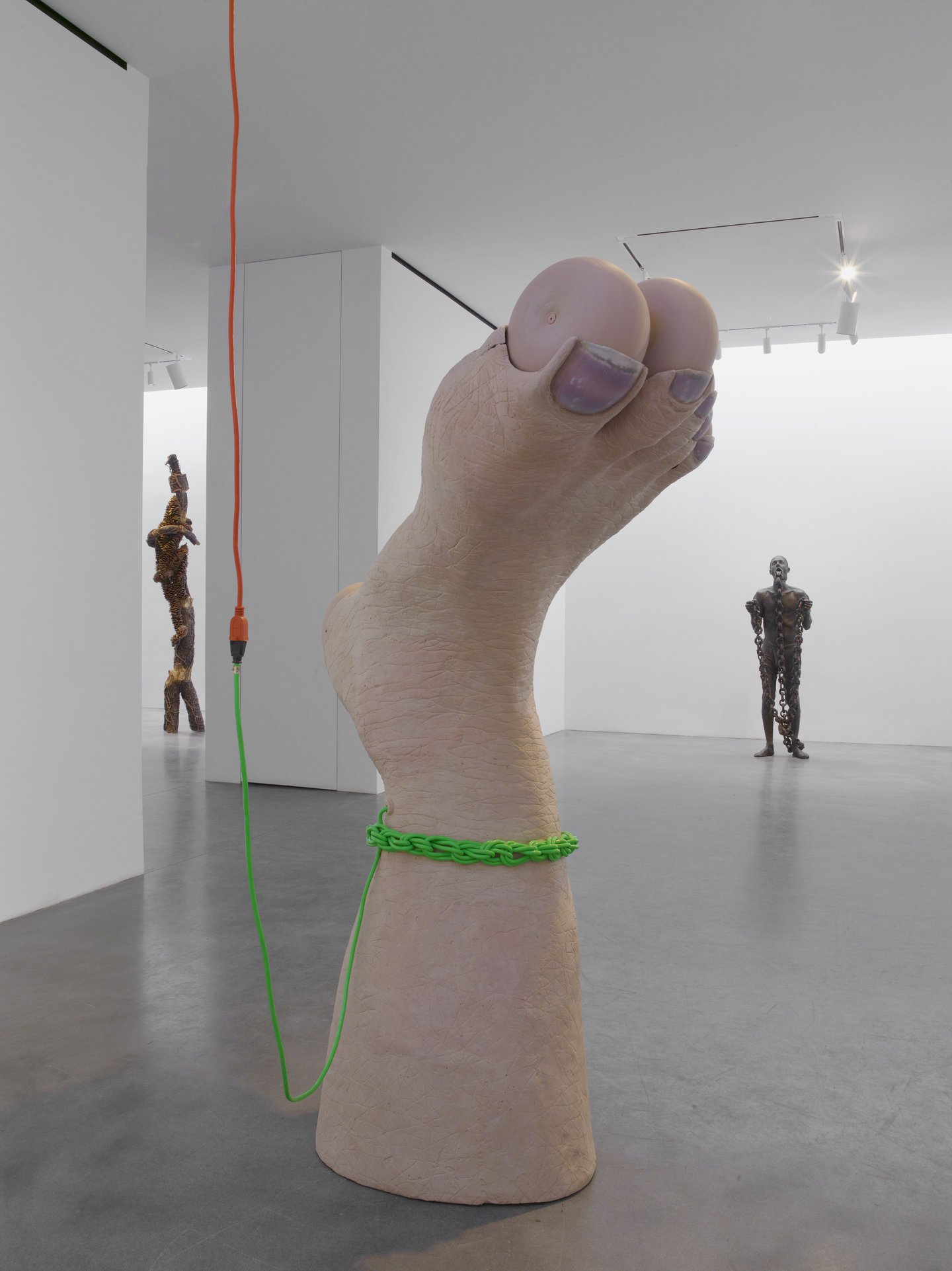 Tim Hawkinson | Pace Gallery