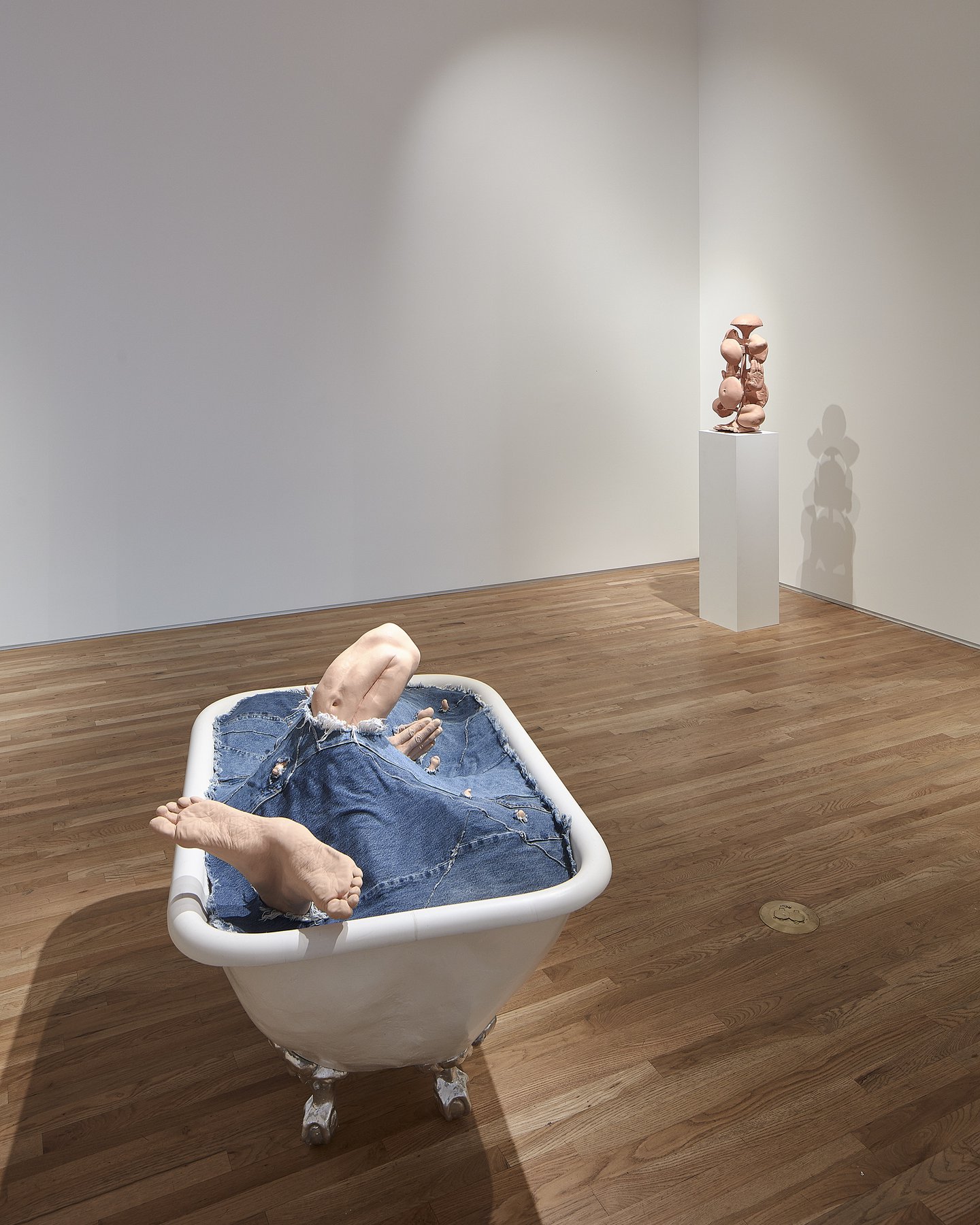 Tim Hawkinson | Pace Gallery