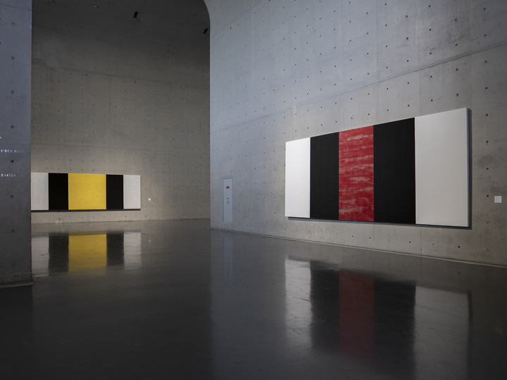 Mary Corse at The Long Museum | Pace Gallery