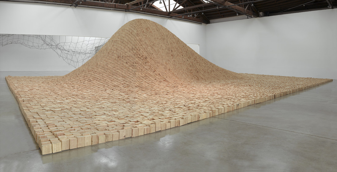 Maya Lin | Pace Gallery
