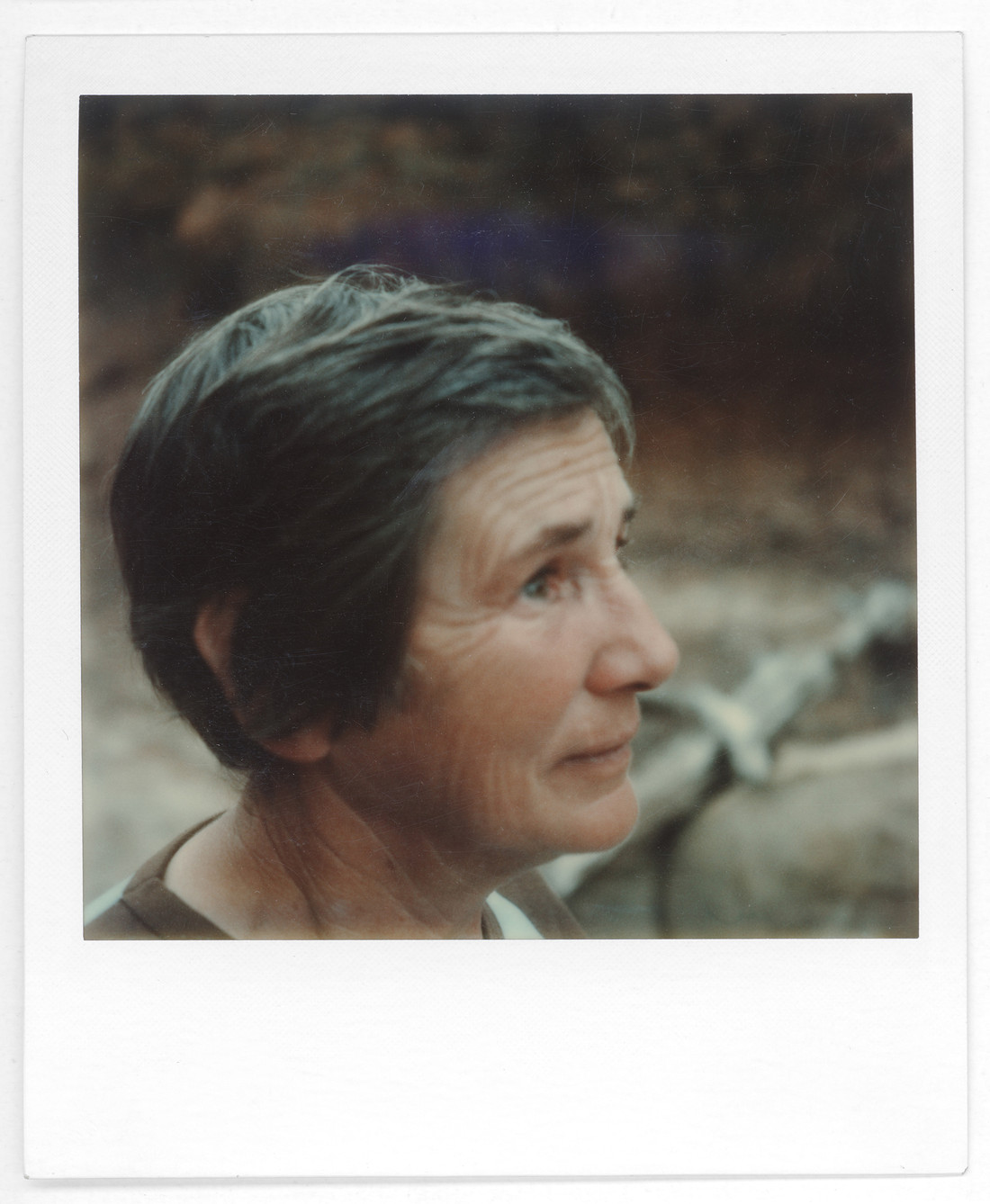 Agnes Martin: The Distillation of Color | Pace Gallery