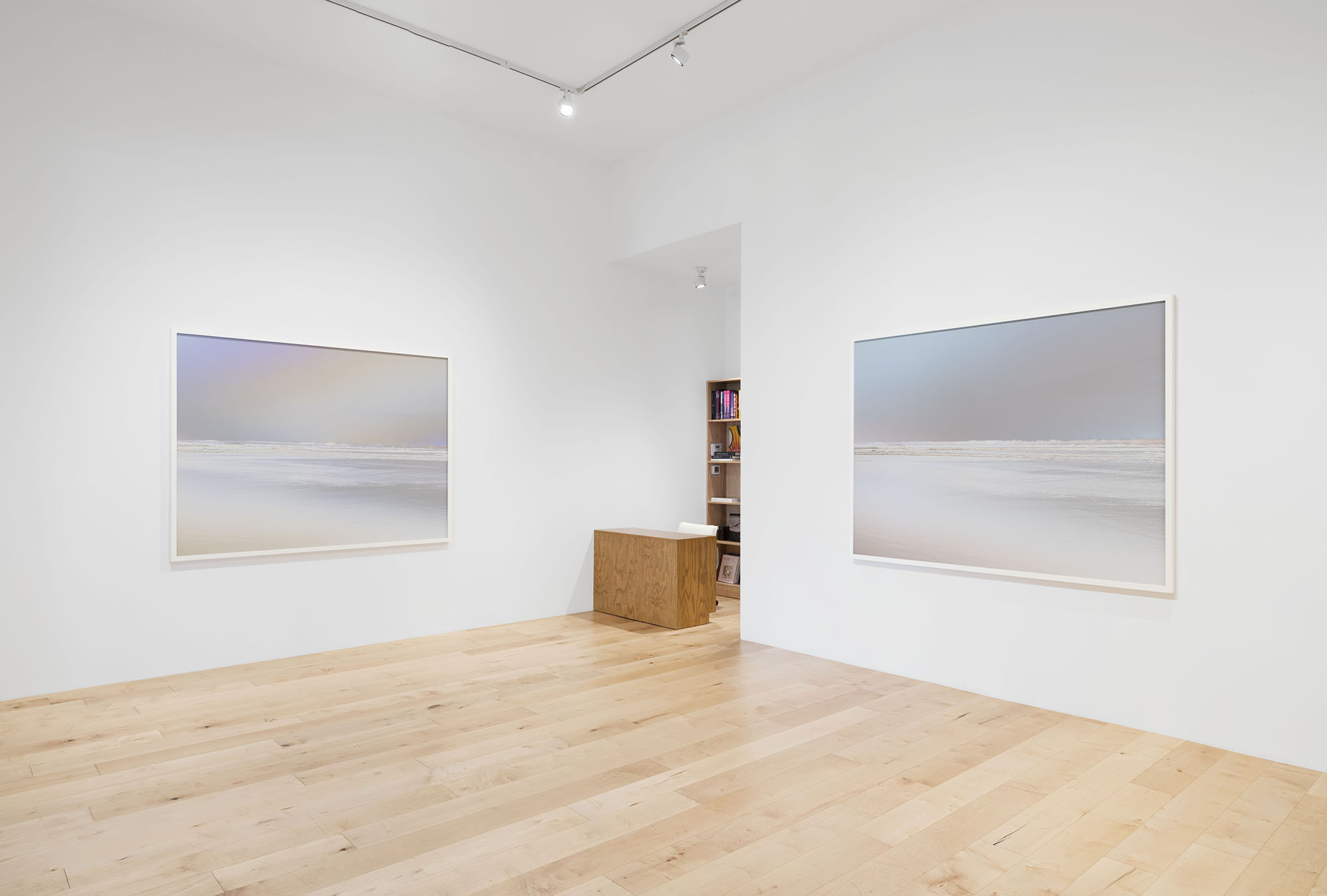 Richard Misrach: Shorebreaks | Pace Gallery