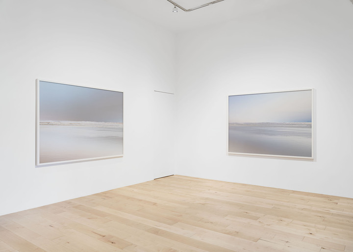 Richard Misrach: Shorebreaks | Pace Gallery