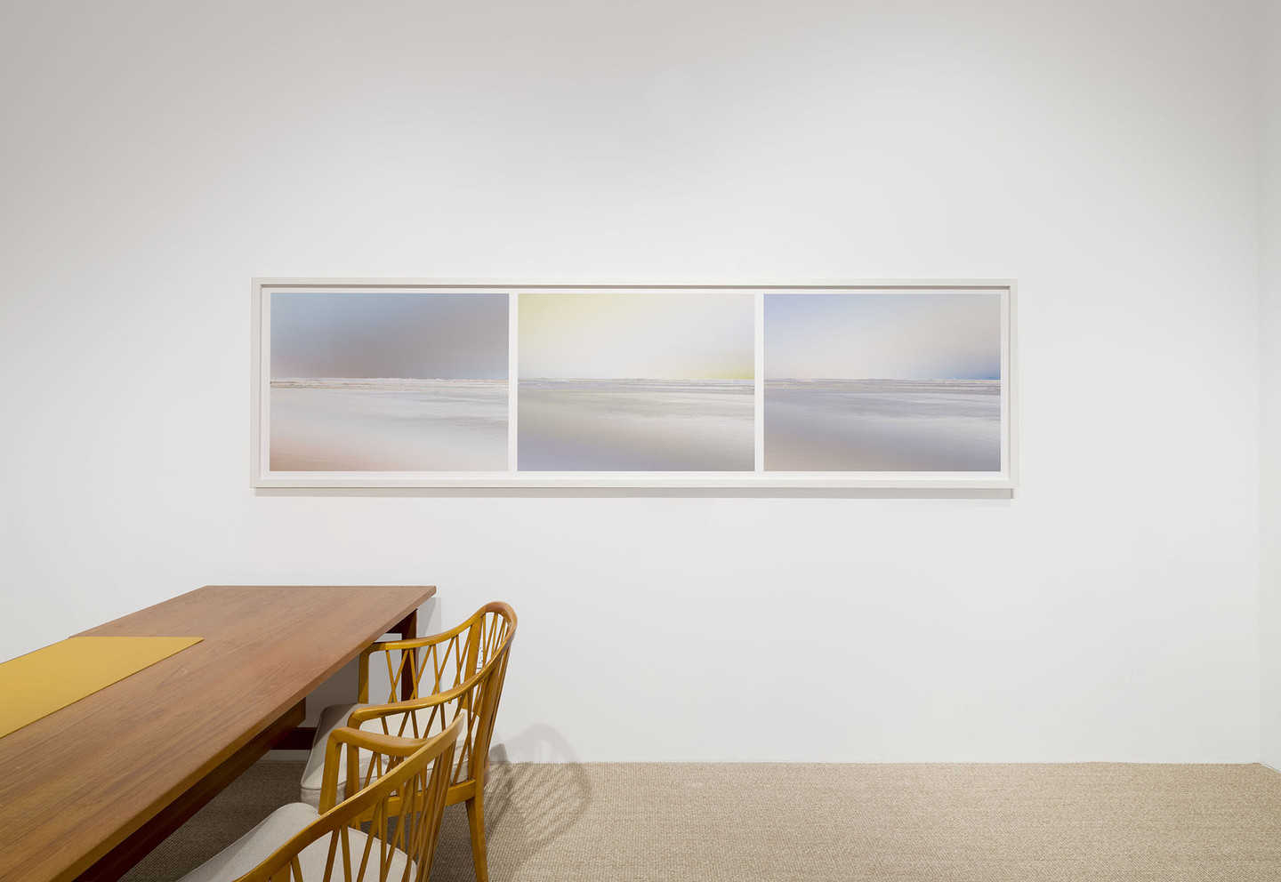 Richard Misrach: Shorebreaks | Pace Gallery
