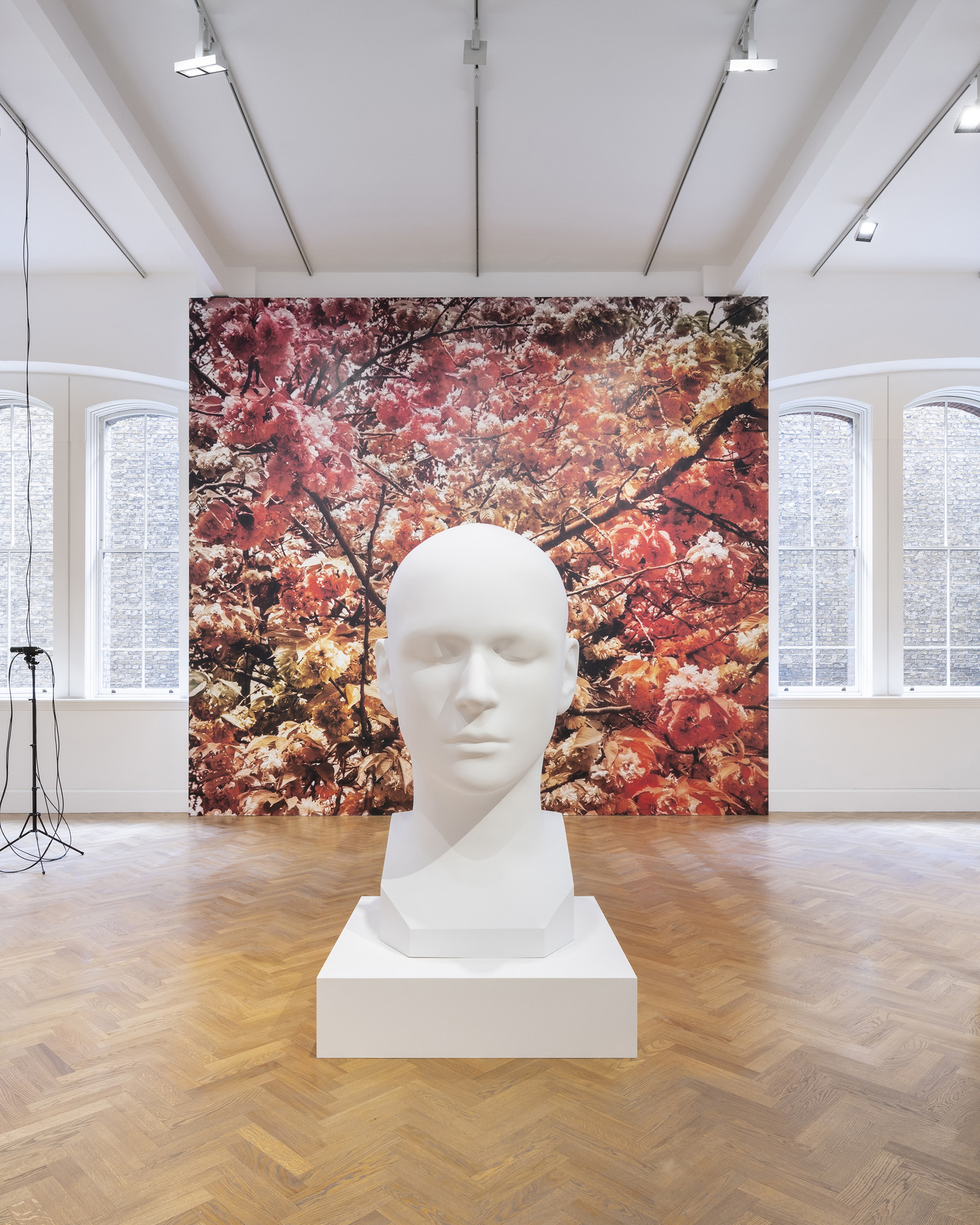 Trevor Paglen Discusses "Bloom" | Pace Gallery