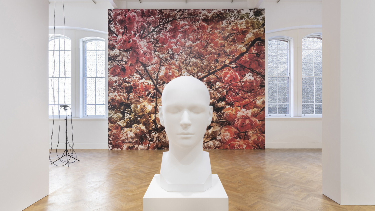 Trevor Paglen: Bloom | Pace Gallery