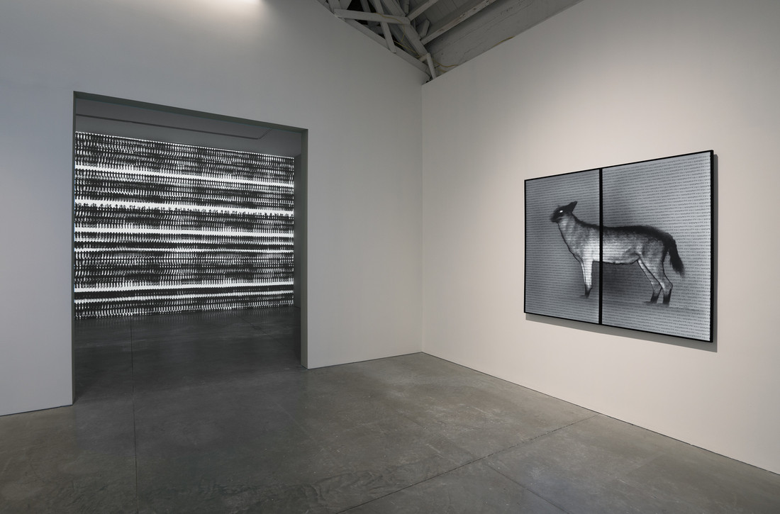 Michal Rovner | Pace Gallery