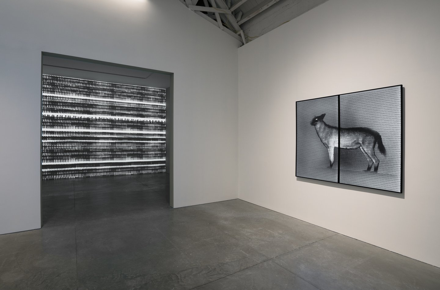 Michal Rovner | Pace Gallery