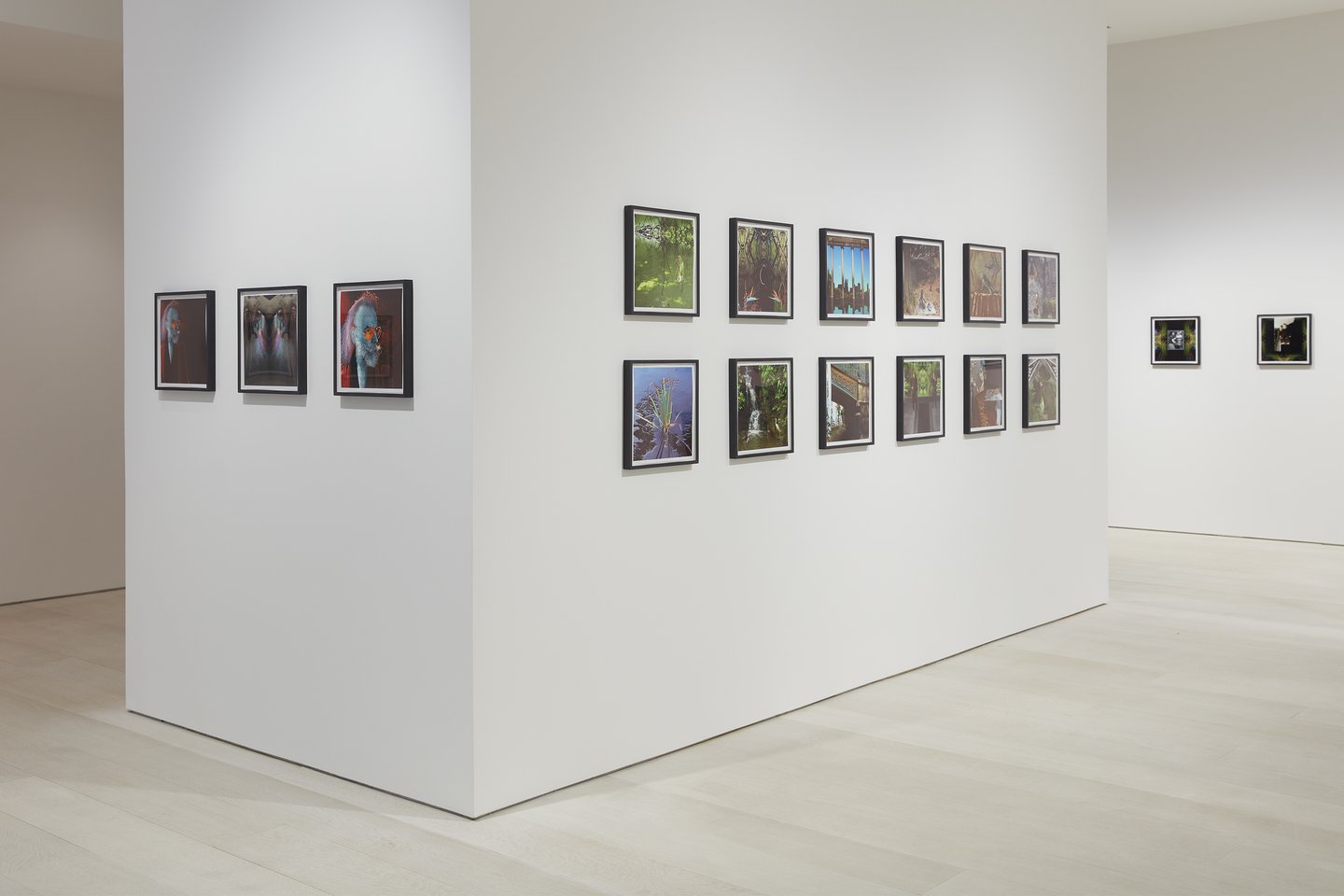 Lucas Samaras: Me, Myself and I... | Pace Gallery