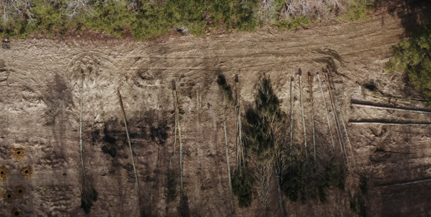 Maya Lin: The Roots of Ghost Forest Seedlings | Pace Gallery