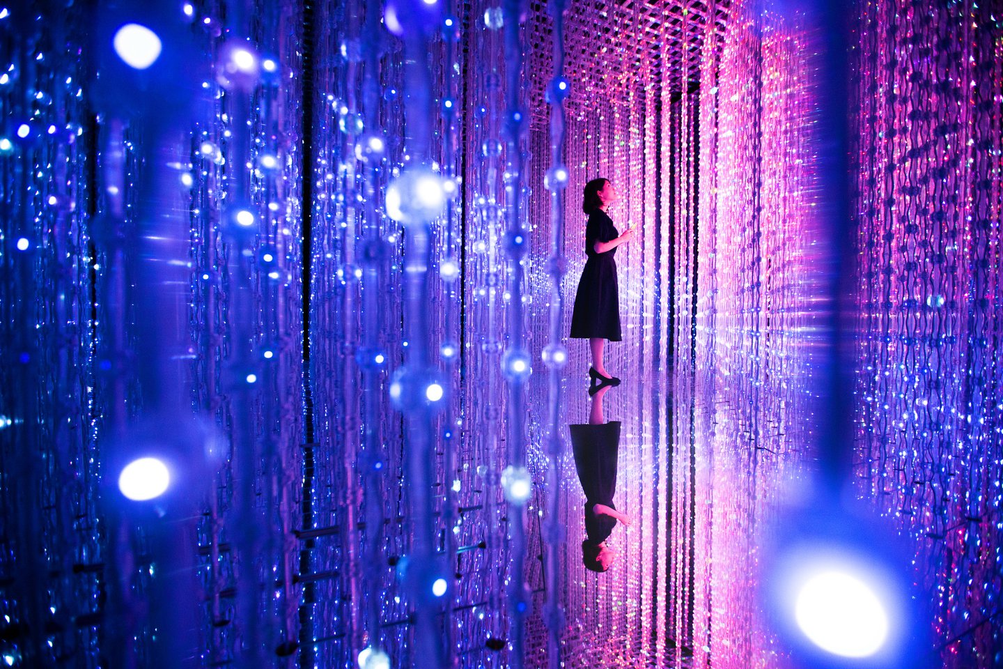 teamLab | Pace Gallery