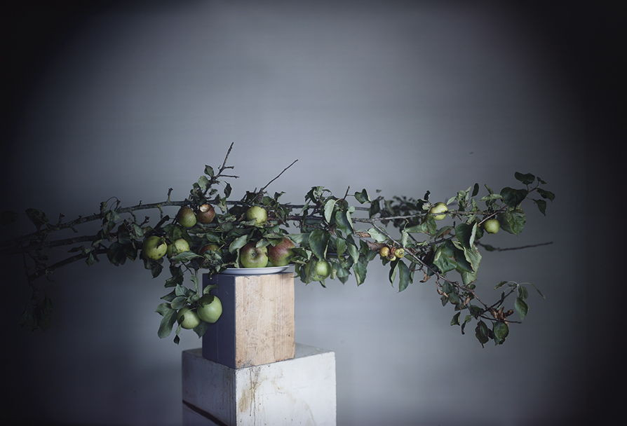 Richard Learoyd | Pace Gallery